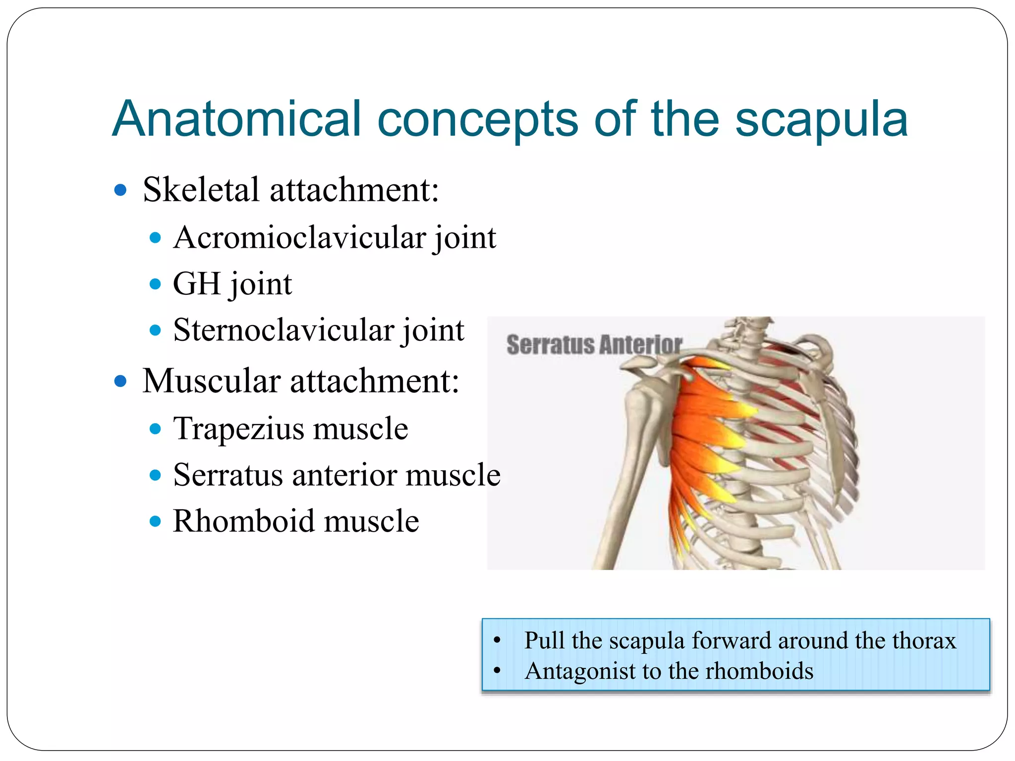 Scapular dyskinesis | PPTX