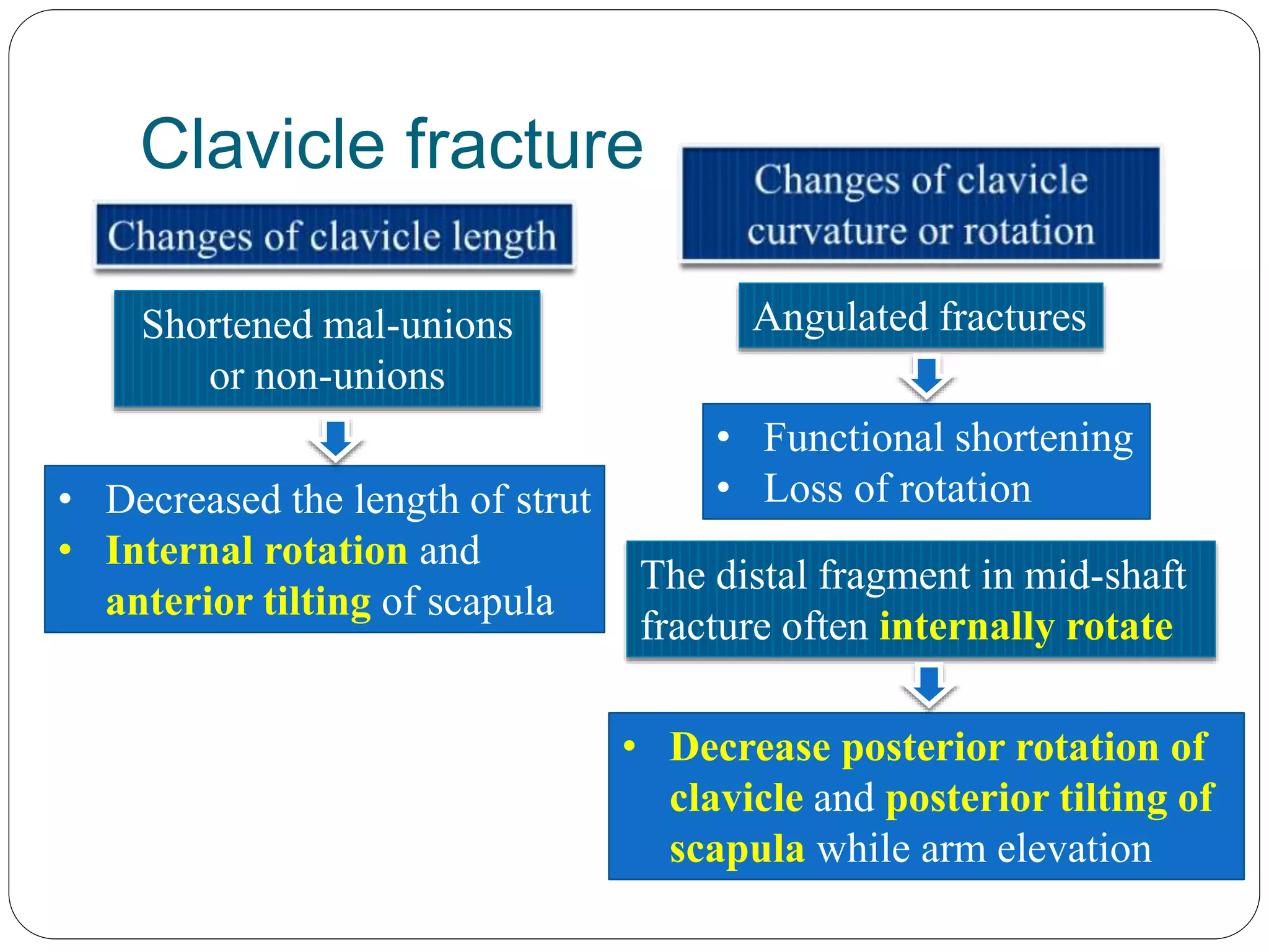 Scapular dyskinesis | PPTX