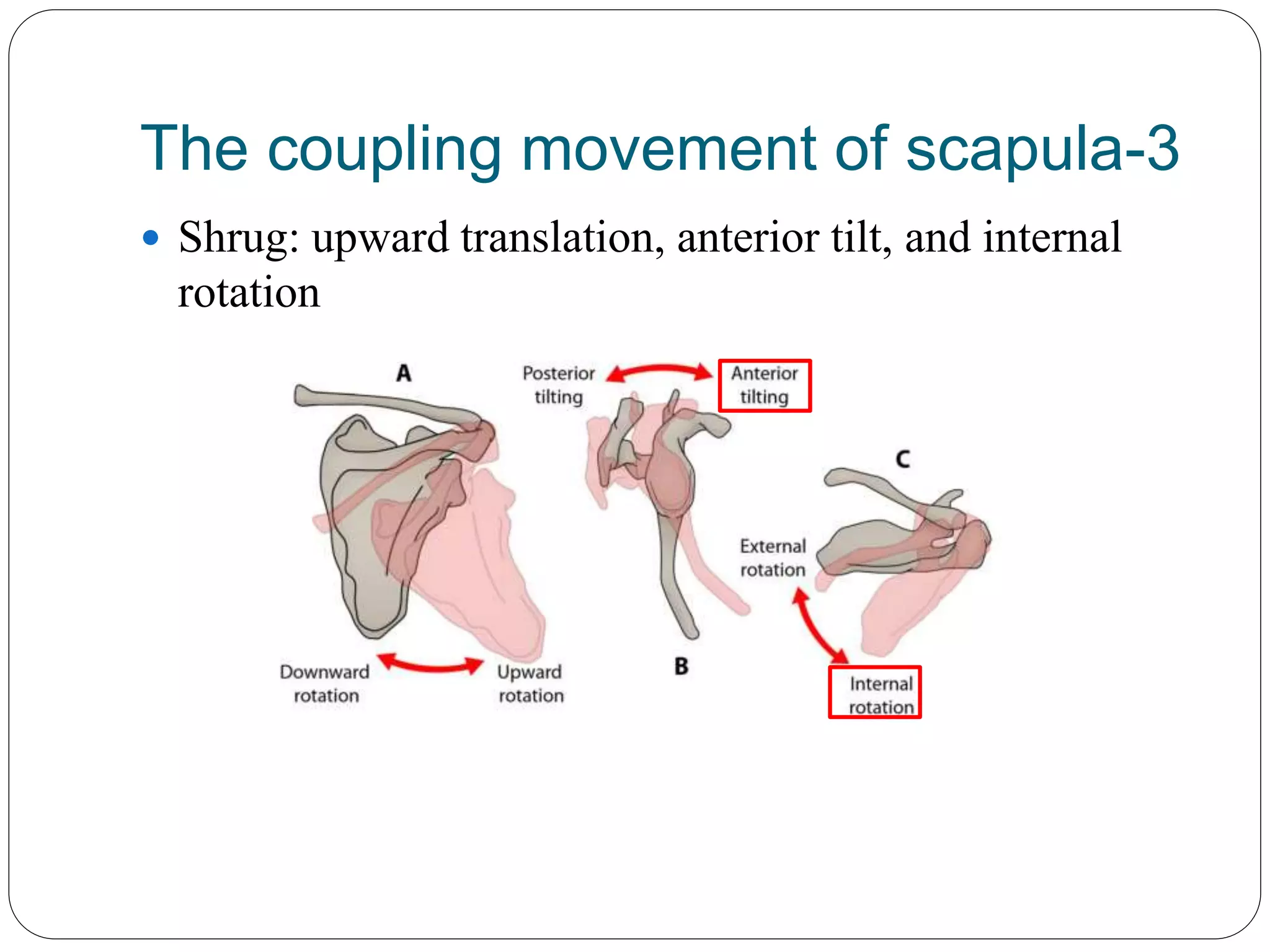 Scapular dyskinesis | PPTX