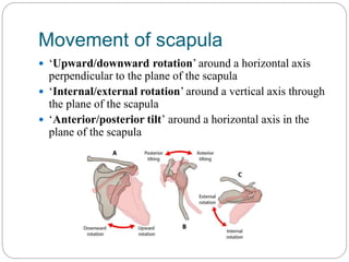 Scapular dyskinesis | PPTX