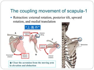 Scapular dyskinesis | PPTX