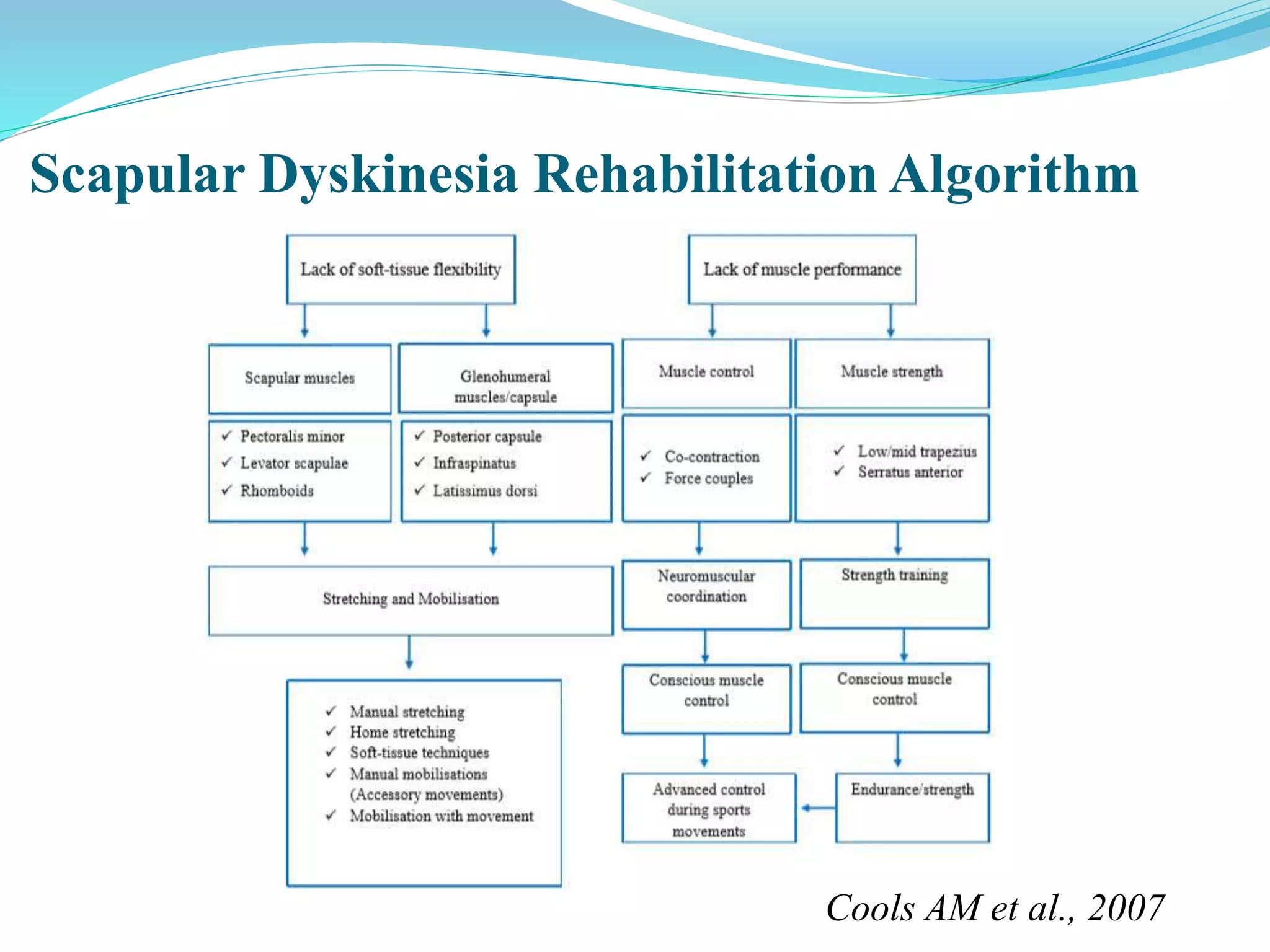 Scapular Dyskinesis.pptx