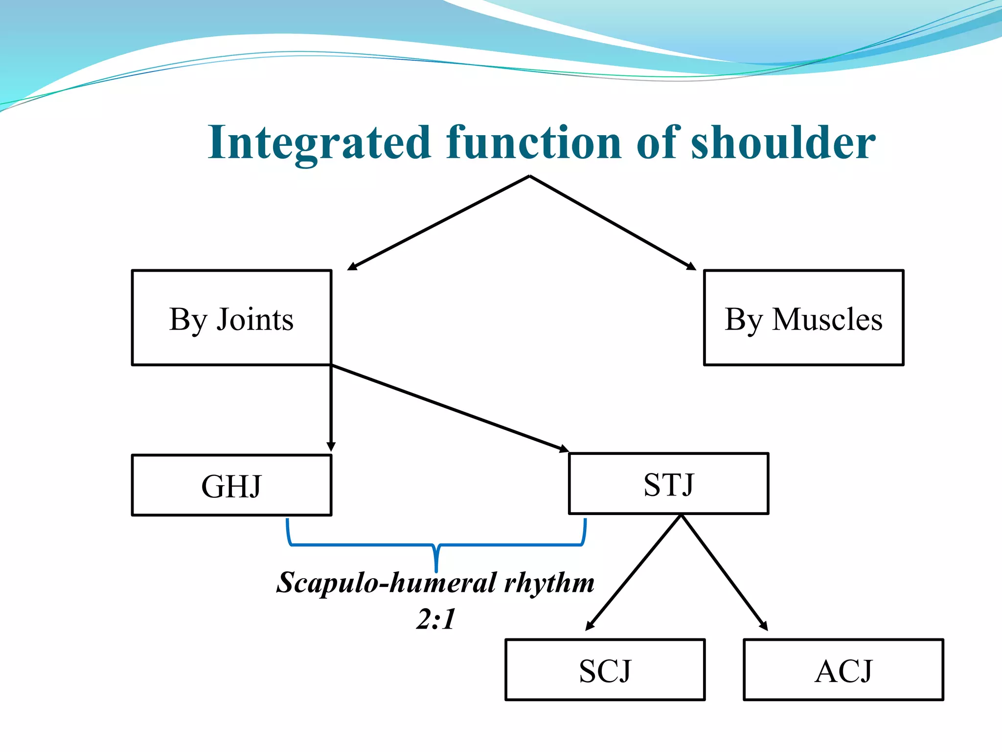 Scapular Dyskinesis.pptx
