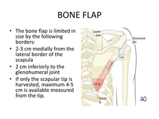 Scapular flap | PPT