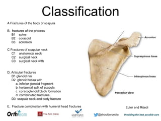 Scapular fractures | PPT