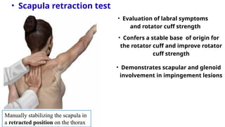 Scapular Instability in a mature skeleton | PPTX