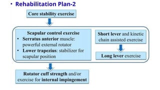 Scapular Instability in a mature skeleton | PPTX