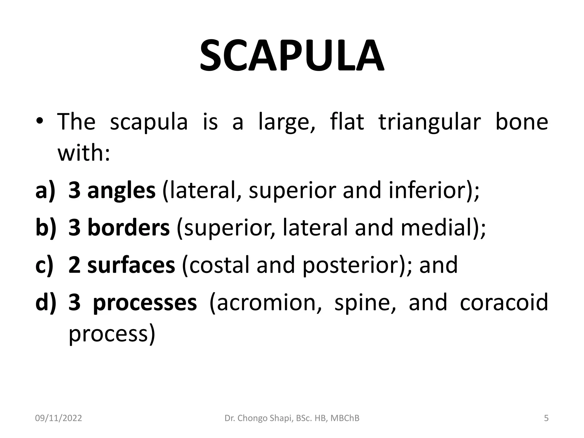 SCAPULAR REGION by Shapi. MD.pdf