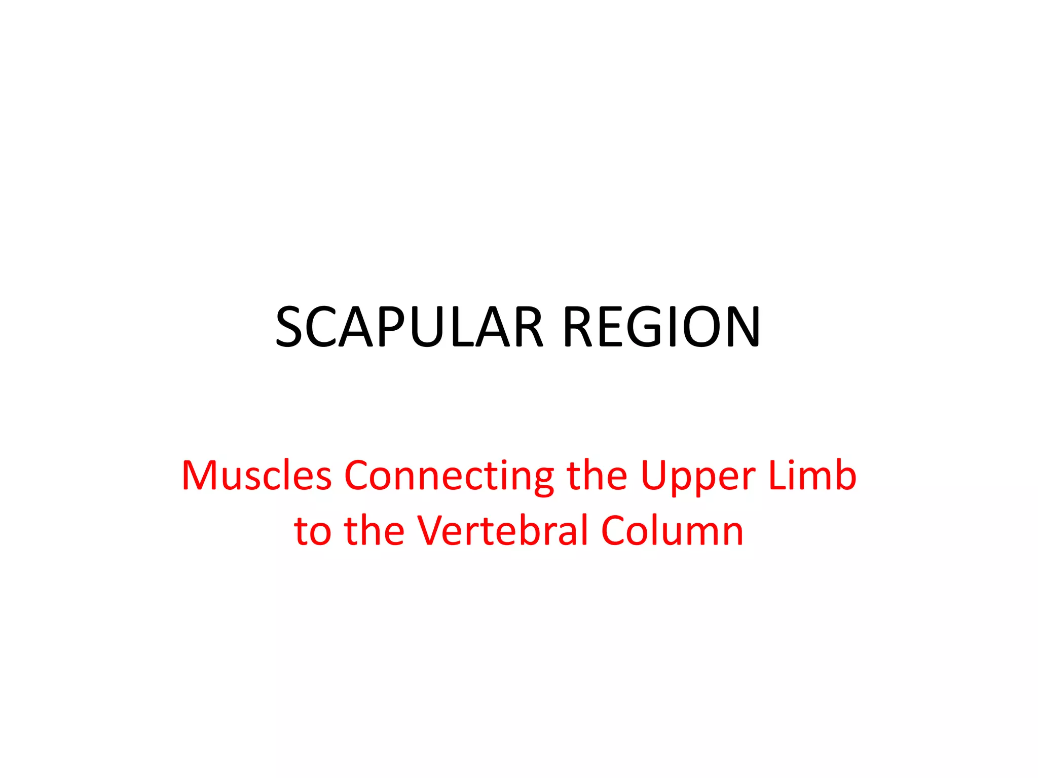 SCAPULAR REGION.ppt