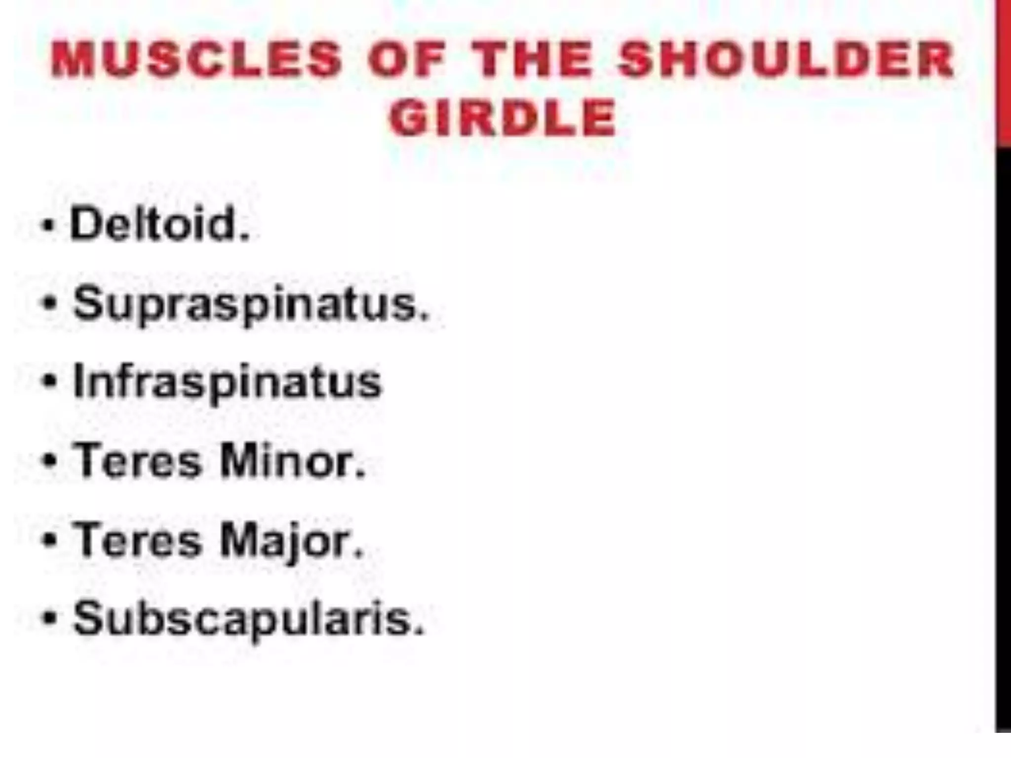 SCAPULAR REGION.ppt