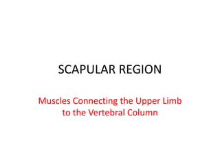SCAPULAR REGION.ppt