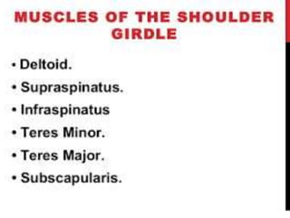 SCAPULAR REGION.ppt
