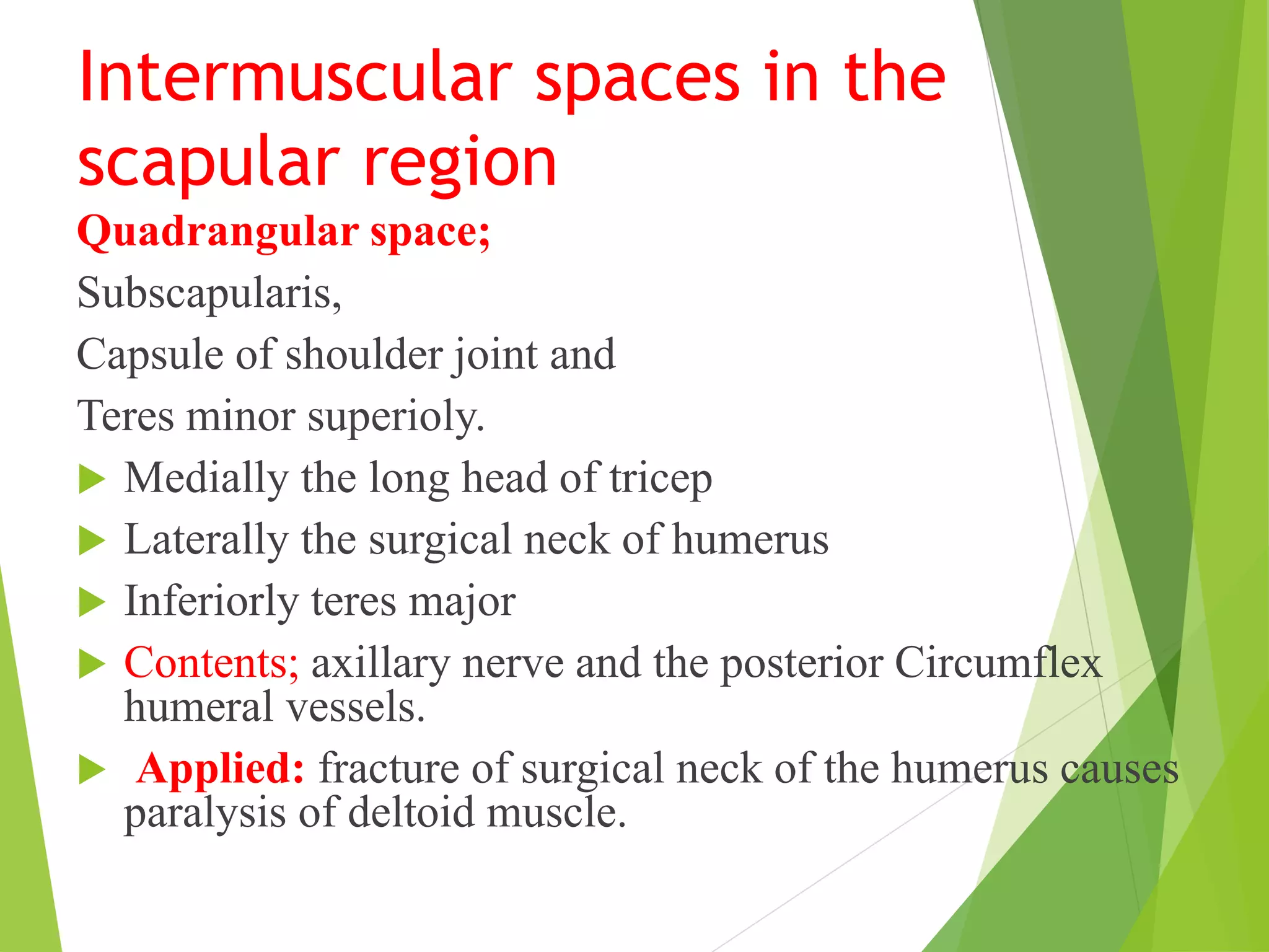 Scapular region | PPT