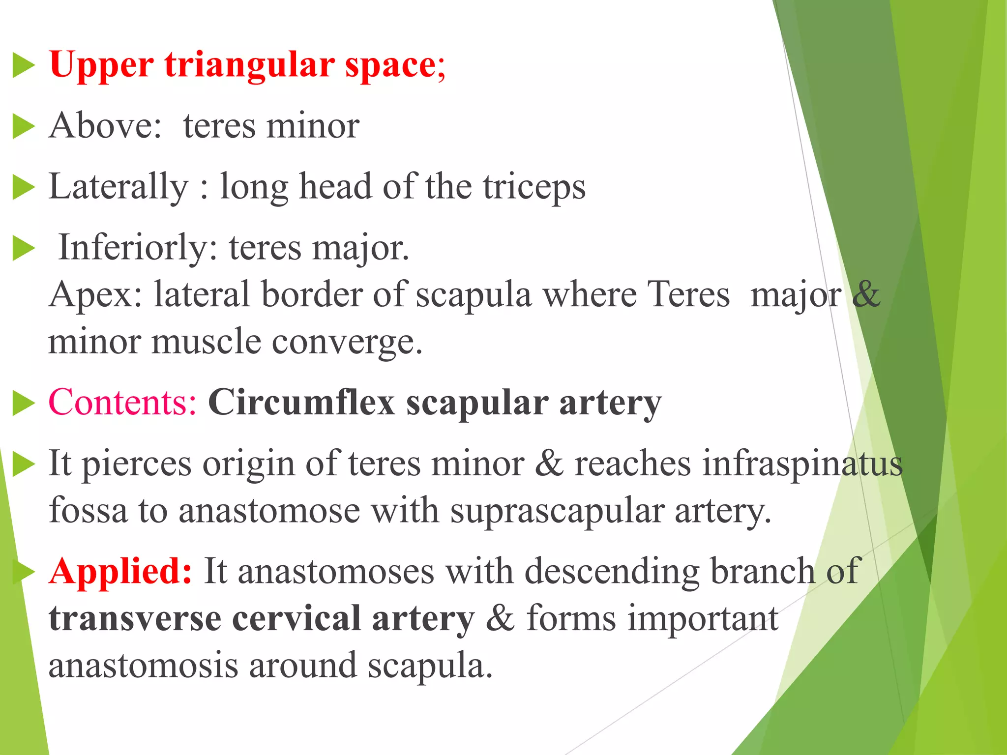 Scapular region | PPT