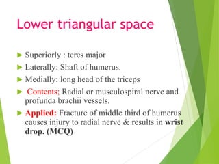 Scapular region | PPT