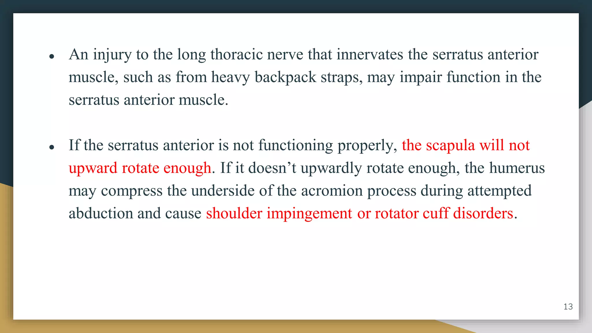 Scapulohumeral rhythm and exercises | PDF