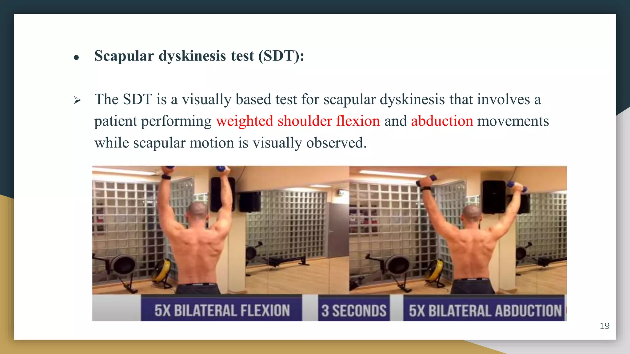 Scapulohumeral rhythm and exercises | PDF