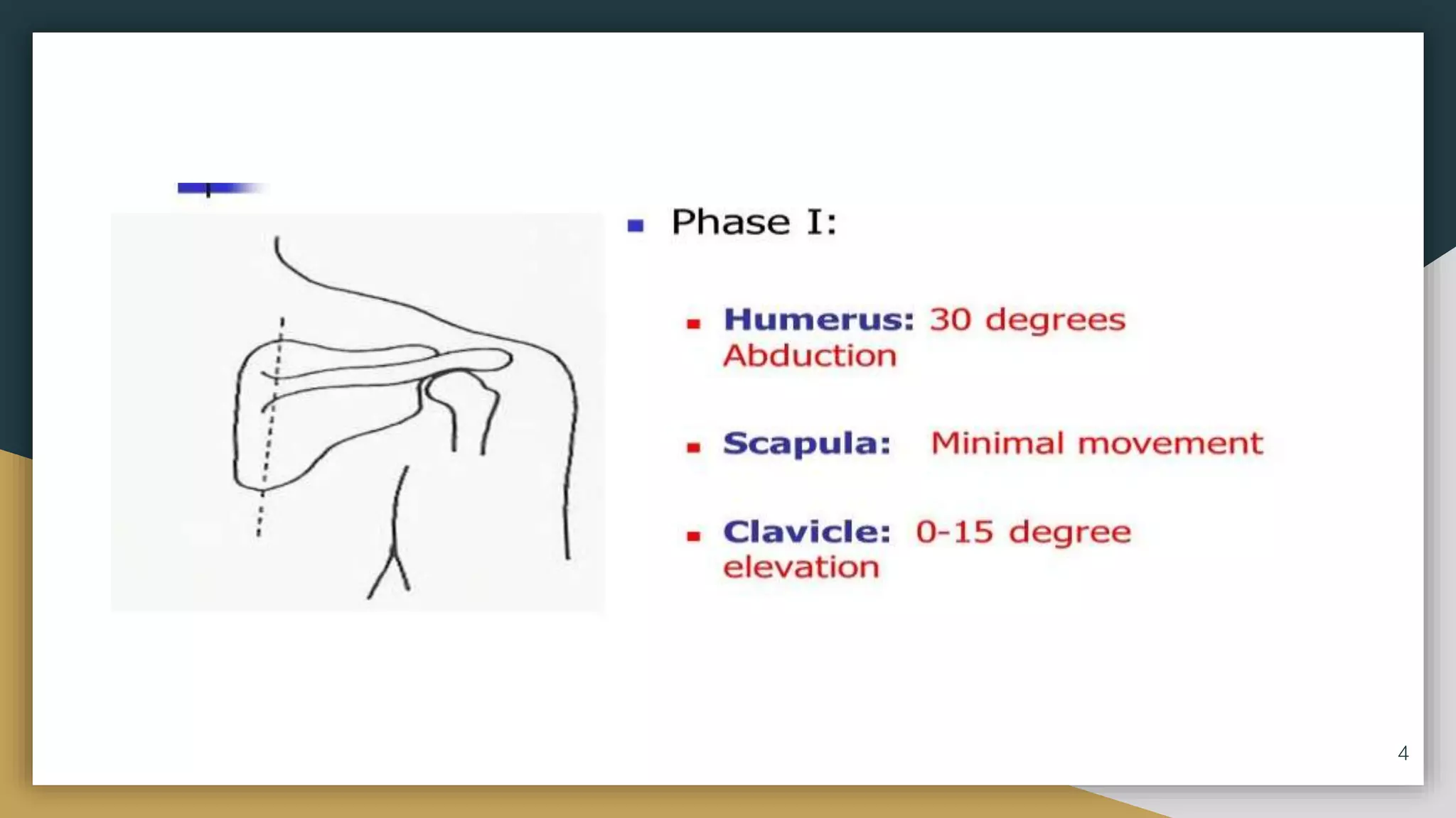 Scapulohumeral rhythm and exercises | PDF