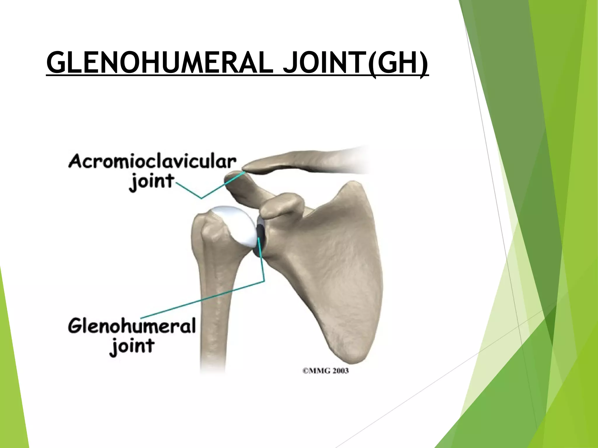 Scapulohumeral rhythm ppt | PPT