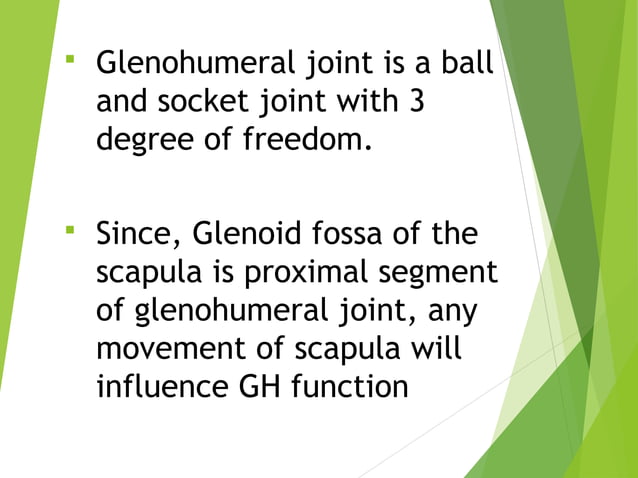 Scapulohumeral rhythm ppt | PPT