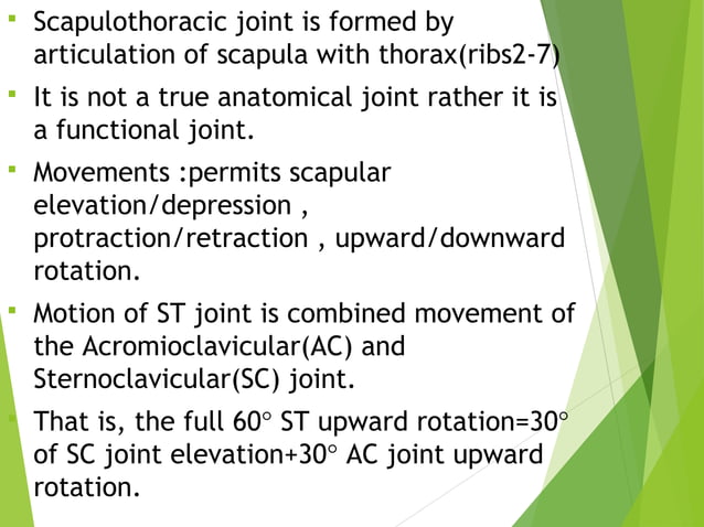 Scapulohumeral rhythm ppt | PPT
