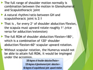 Scapulohumeral rhythm ppt | PPT
