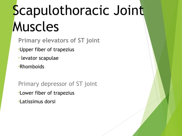 Scapulohumeral rhythm ppt | PPT