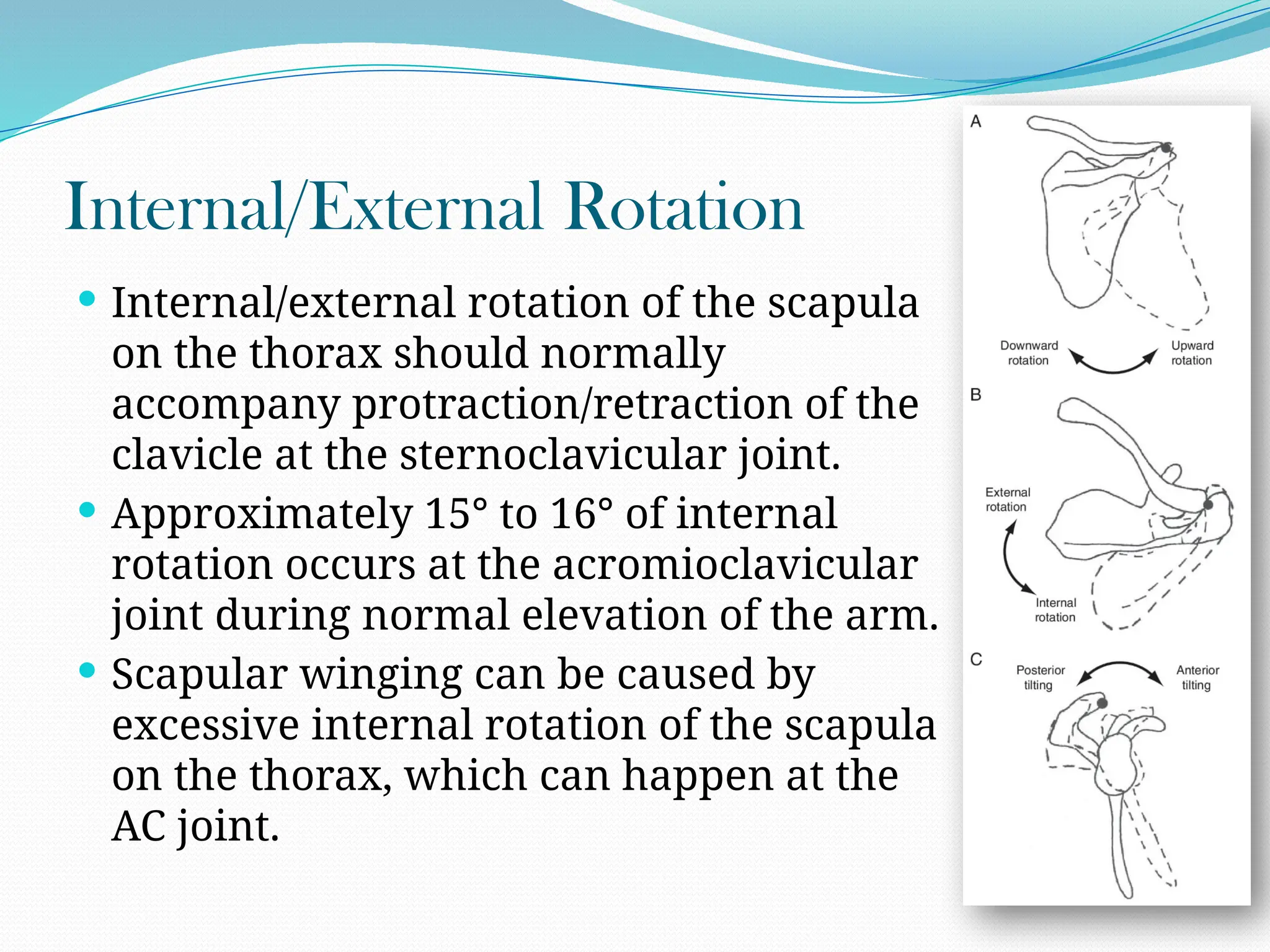 SCAPULOTHORACIC JOINT.pptx powerpoint presentation | PPTX