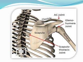 SCAPULOTHORACIC JOINT.pptx powerpoint presentation | PPTX