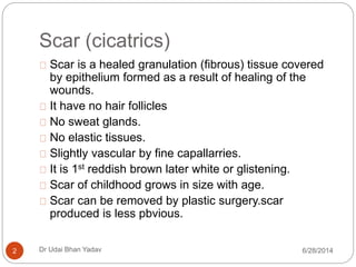 Scar | PPTX
