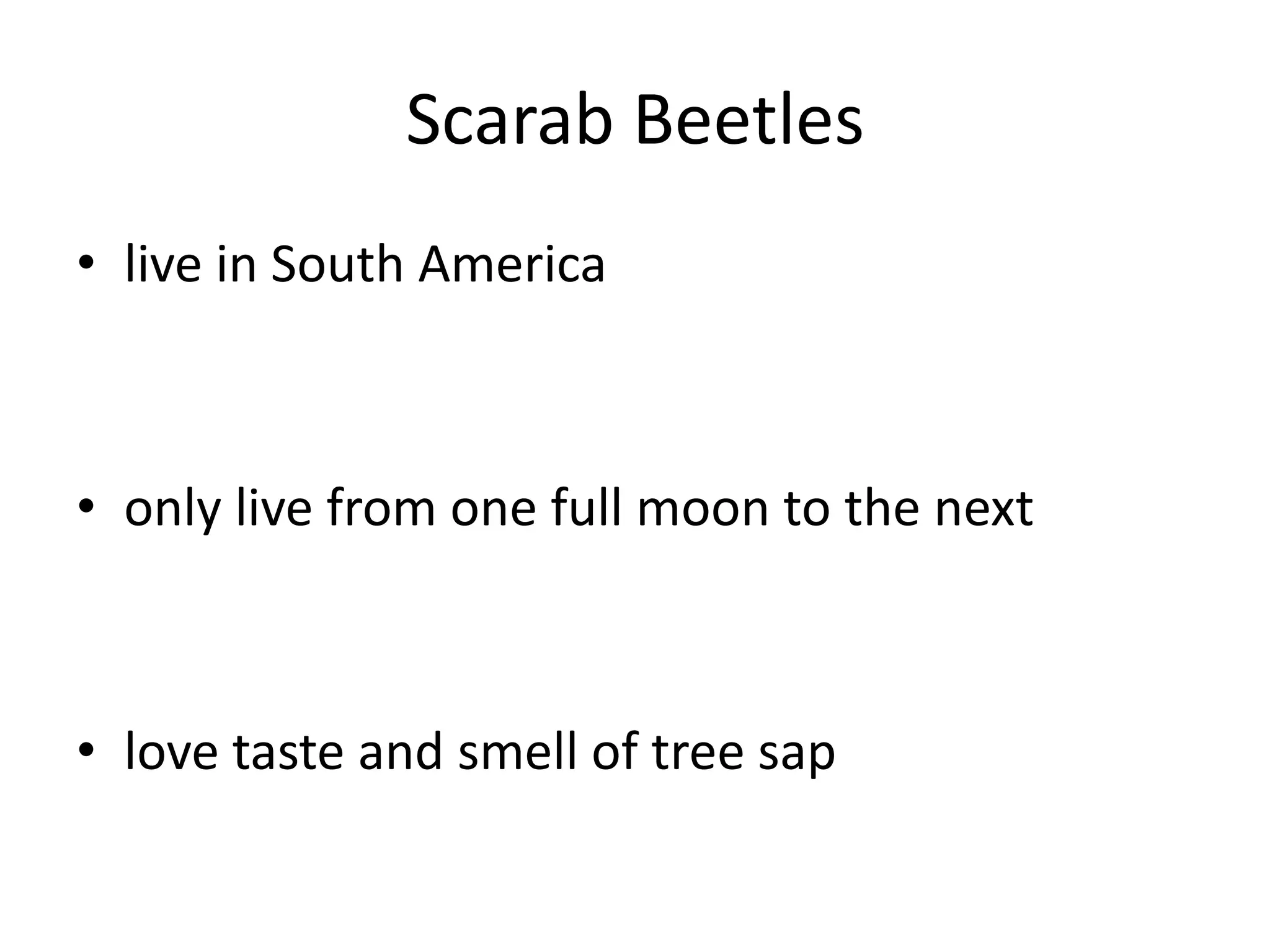 Scarab beetles amy | PPT