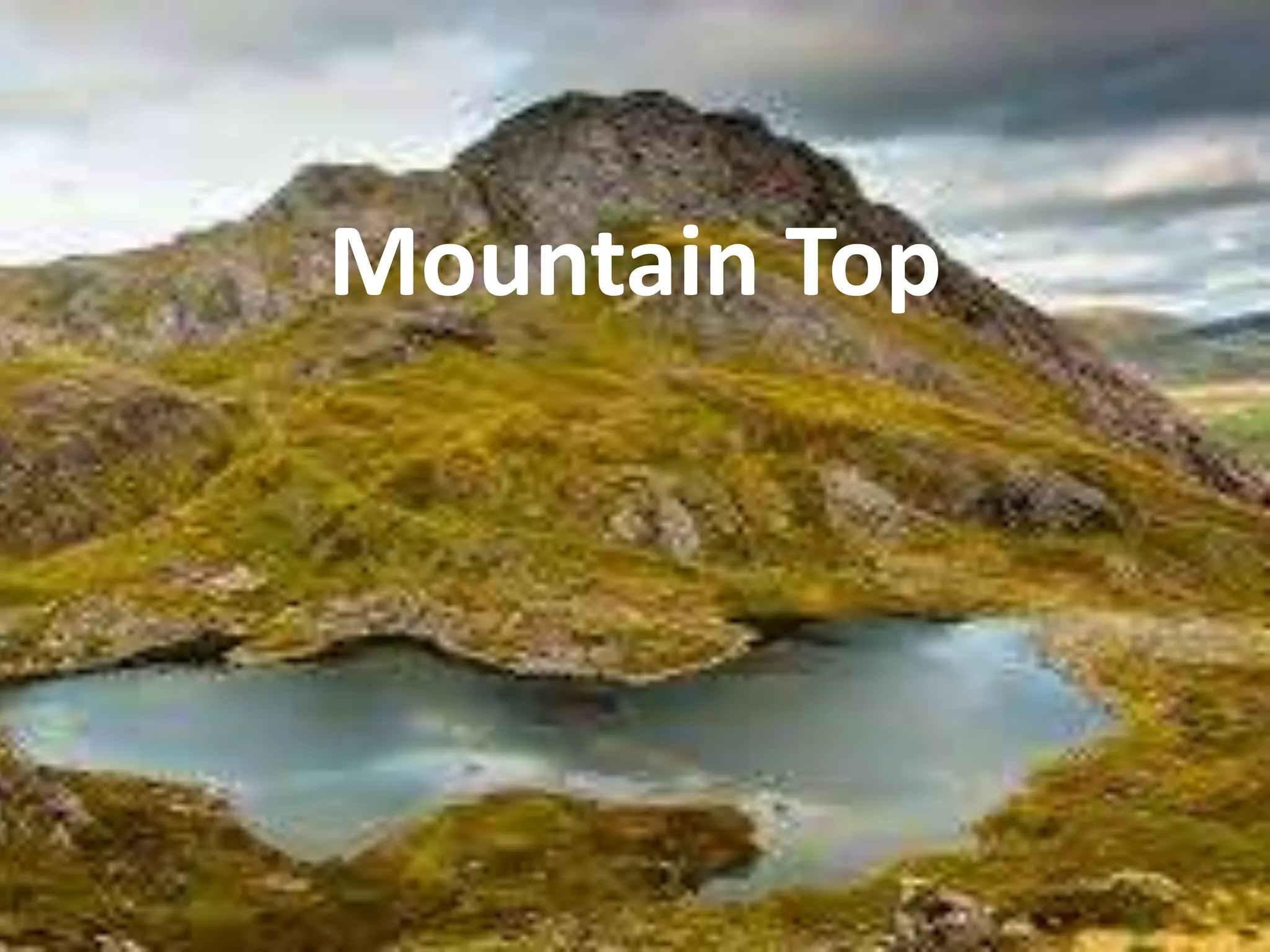 Scarcity activity | PPT