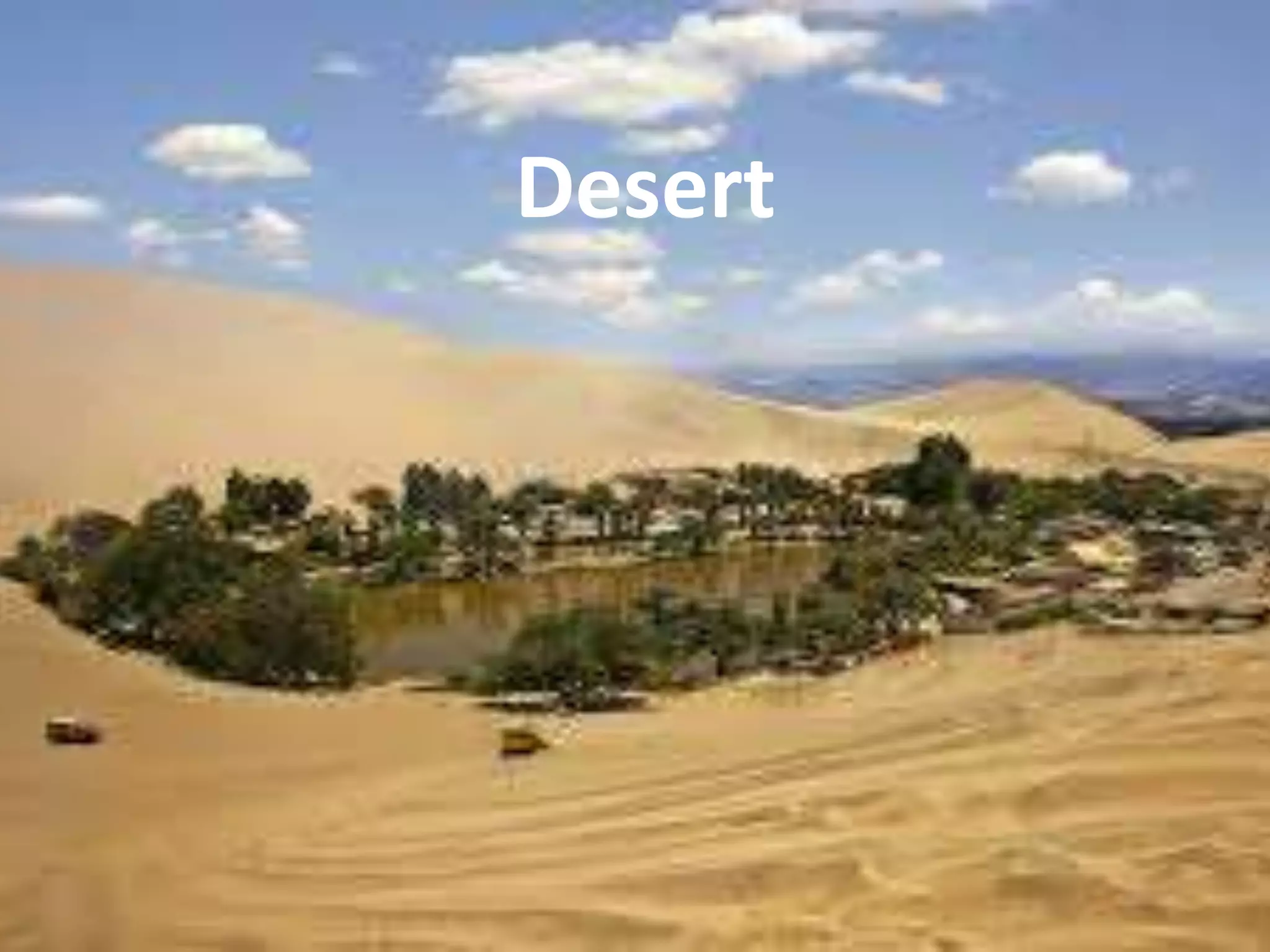 Scarcity activity | PPT