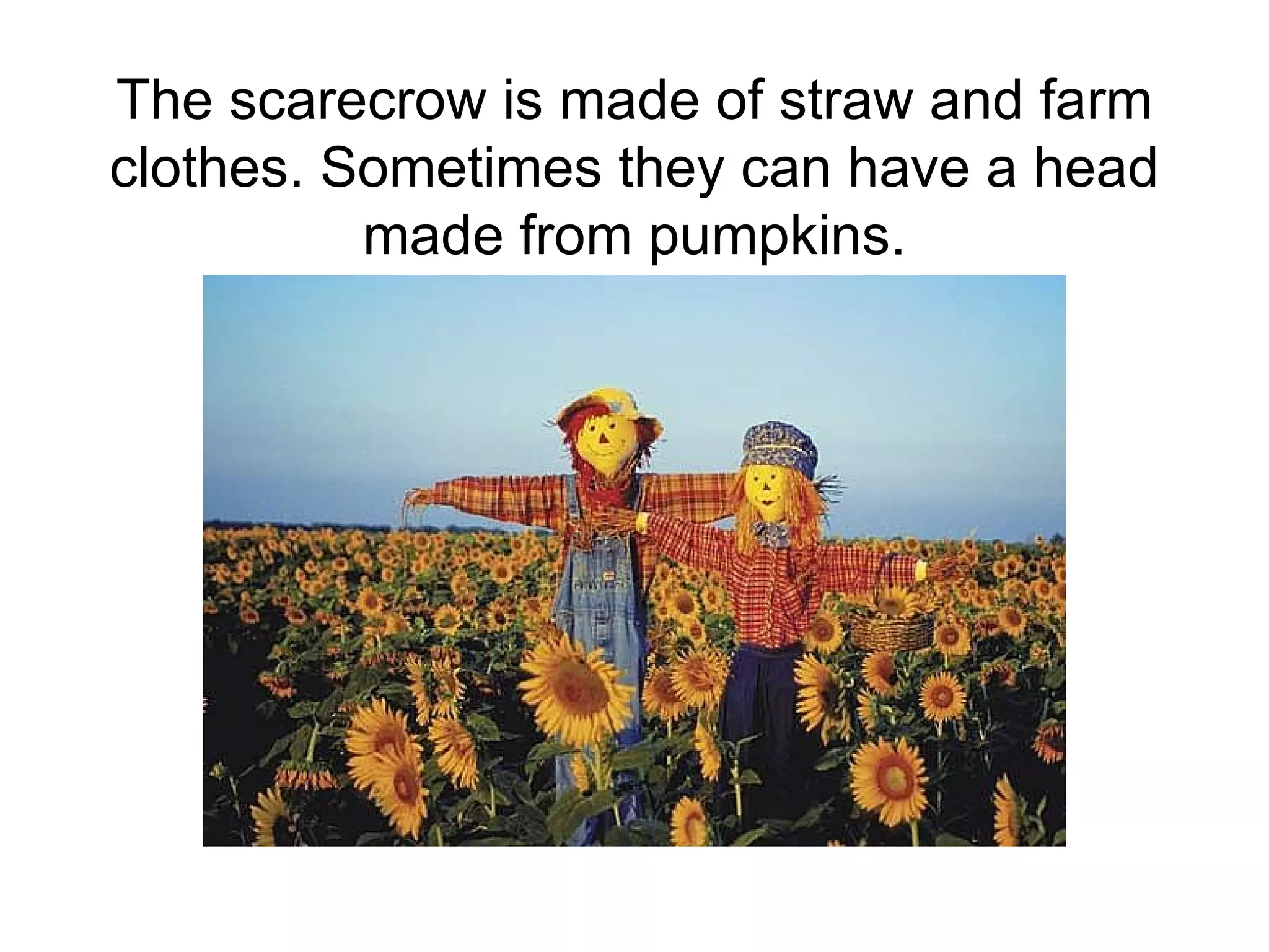 Scarecrows | PPT
