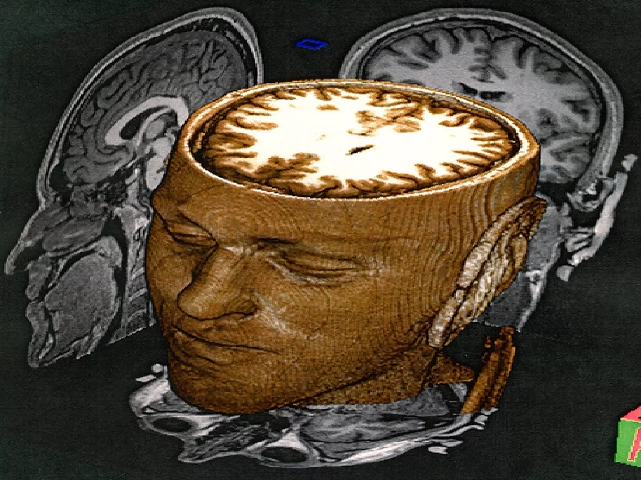 Scared To Death | PPT