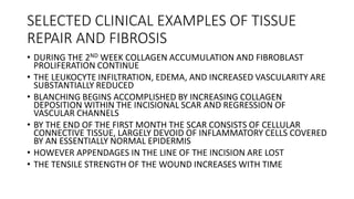 SCAR FORMATION AND TISSUE REPAIR notes.pptx