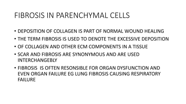 SCAR FORMATION AND TISSUE REPAIR notes.pptx