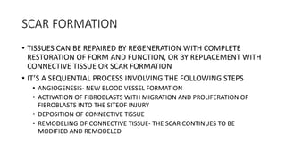 SCAR FORMATION AND TISSUE REPAIR notes.pptx
