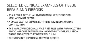 SCAR FORMATION AND TISSUE REPAIR notes.pptx