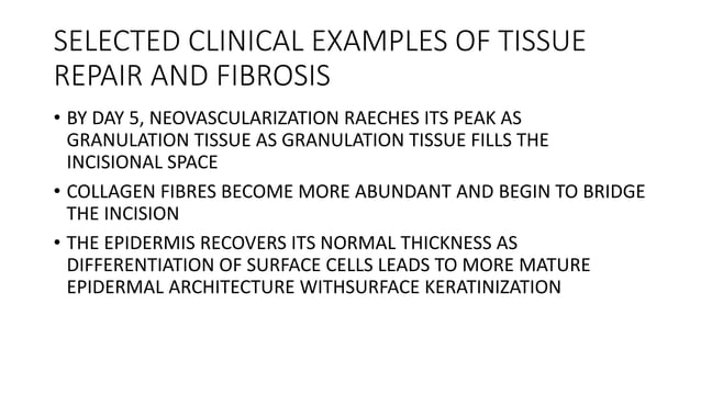 SCAR FORMATION AND TISSUE REPAIR notes.pptx
