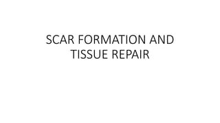 SCAR FORMATION AND TISSUE REPAIR notes.pptx