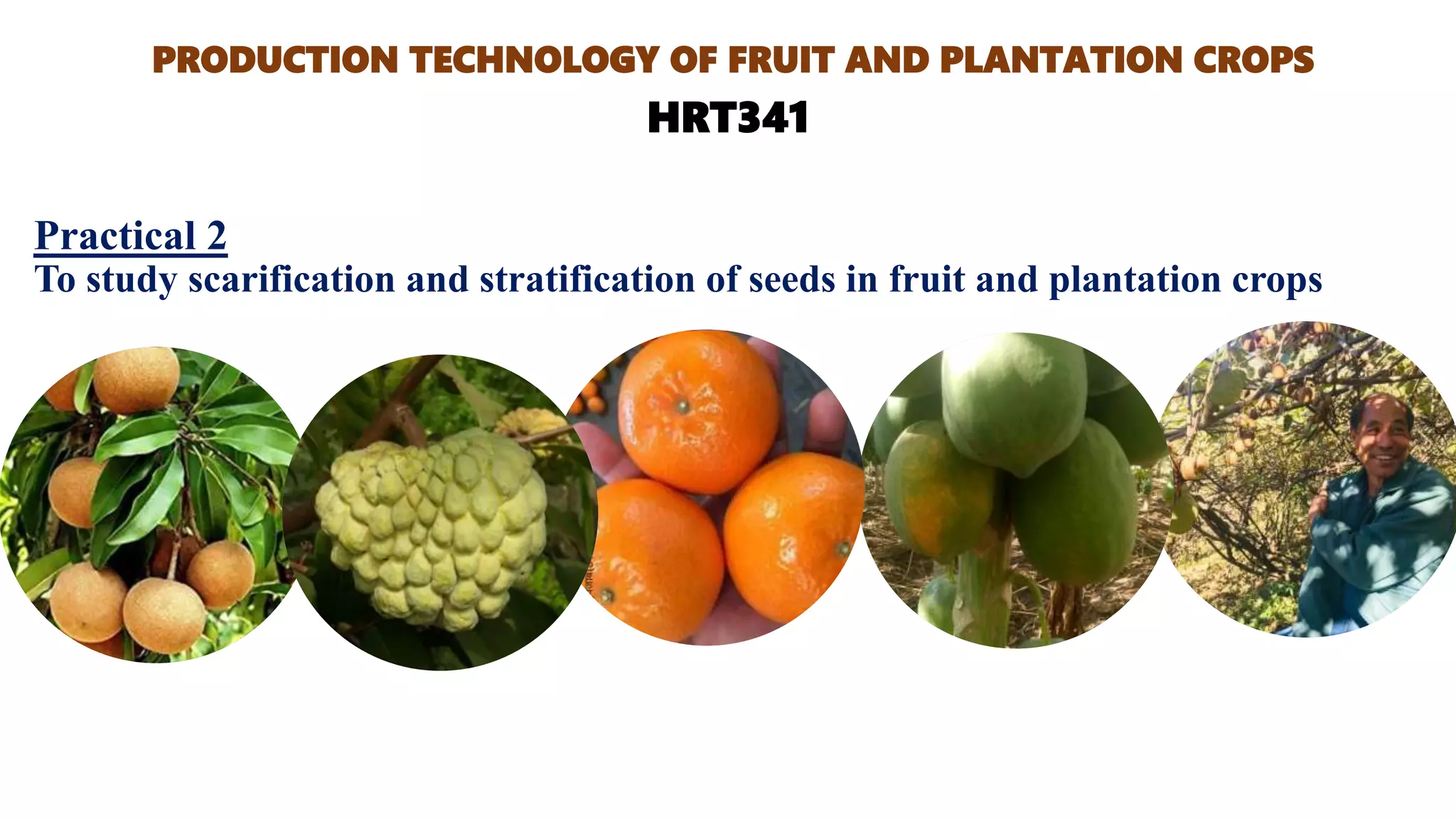 Scarification and stratification of seeds | PPTX