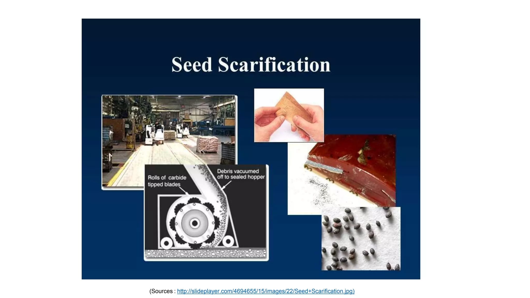 Scarification and stratification of seeds | PPTX