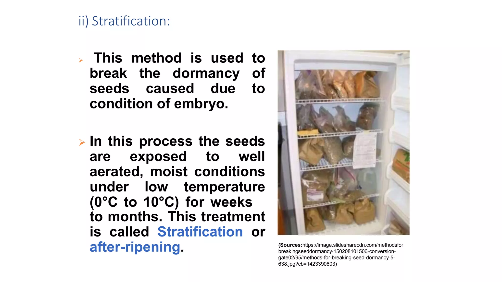 Scarification and stratification of seeds | PPTX