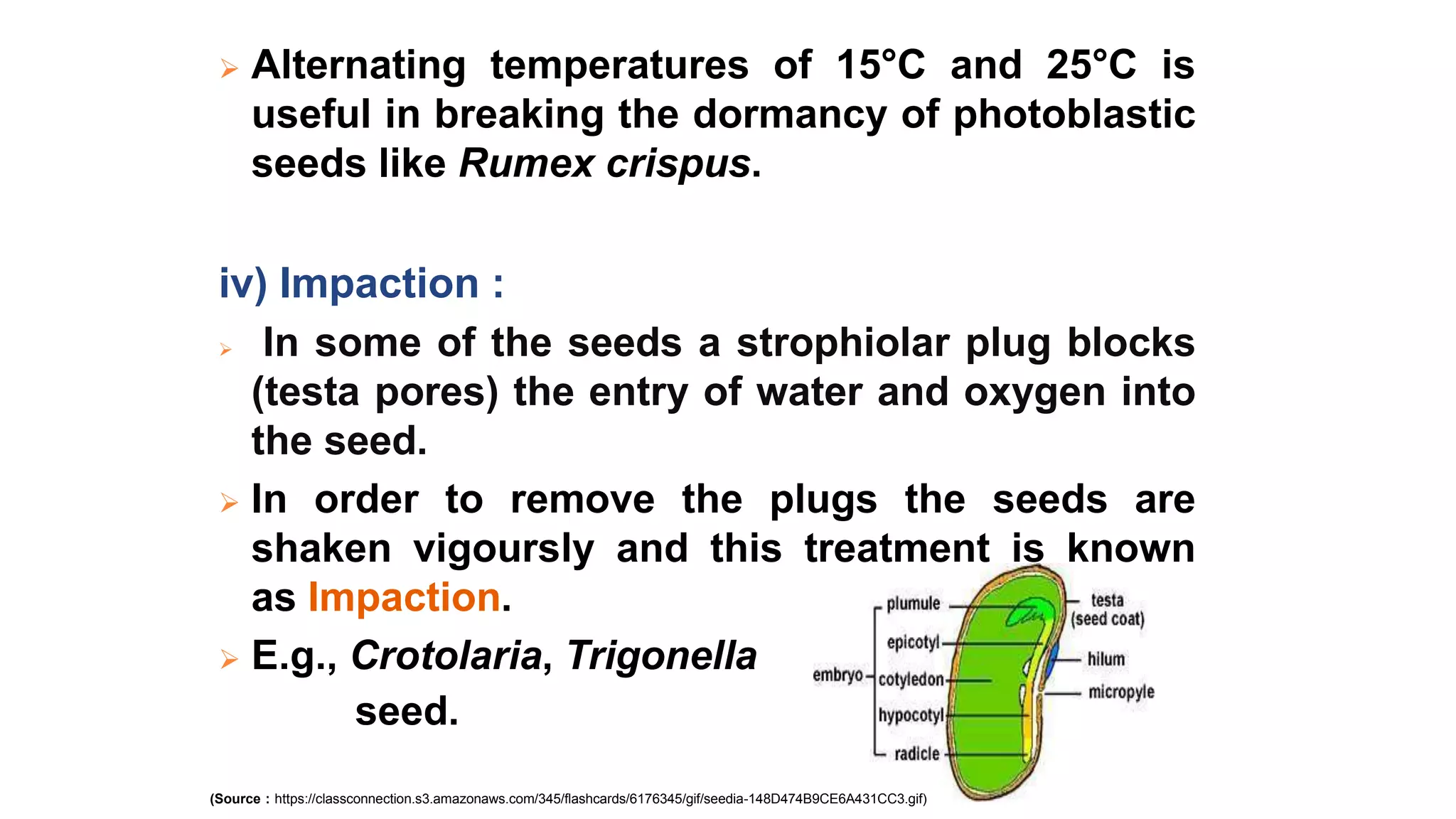Scarification and stratification of seeds | PPTX