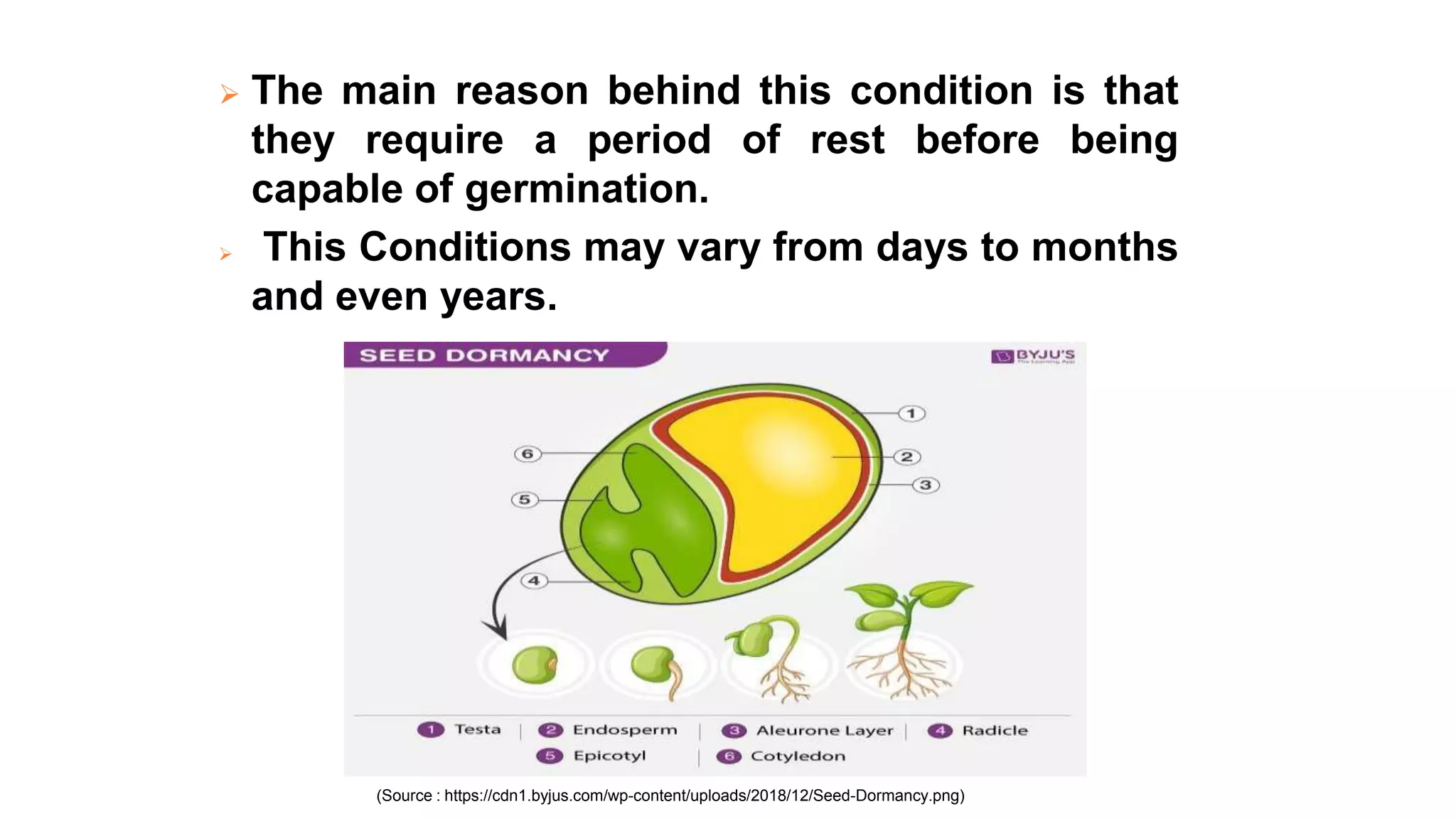 Scarification and stratification of seeds | PPTX