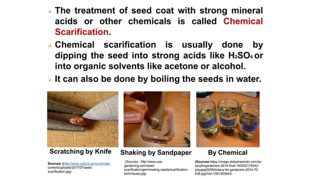 Scarification and stratification of seeds | PPTX