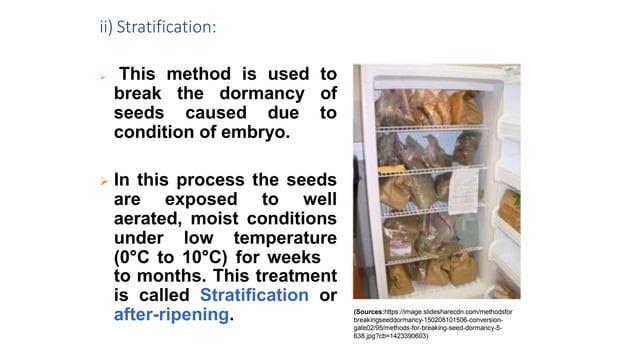 Scarification and stratification of seeds | PPTX