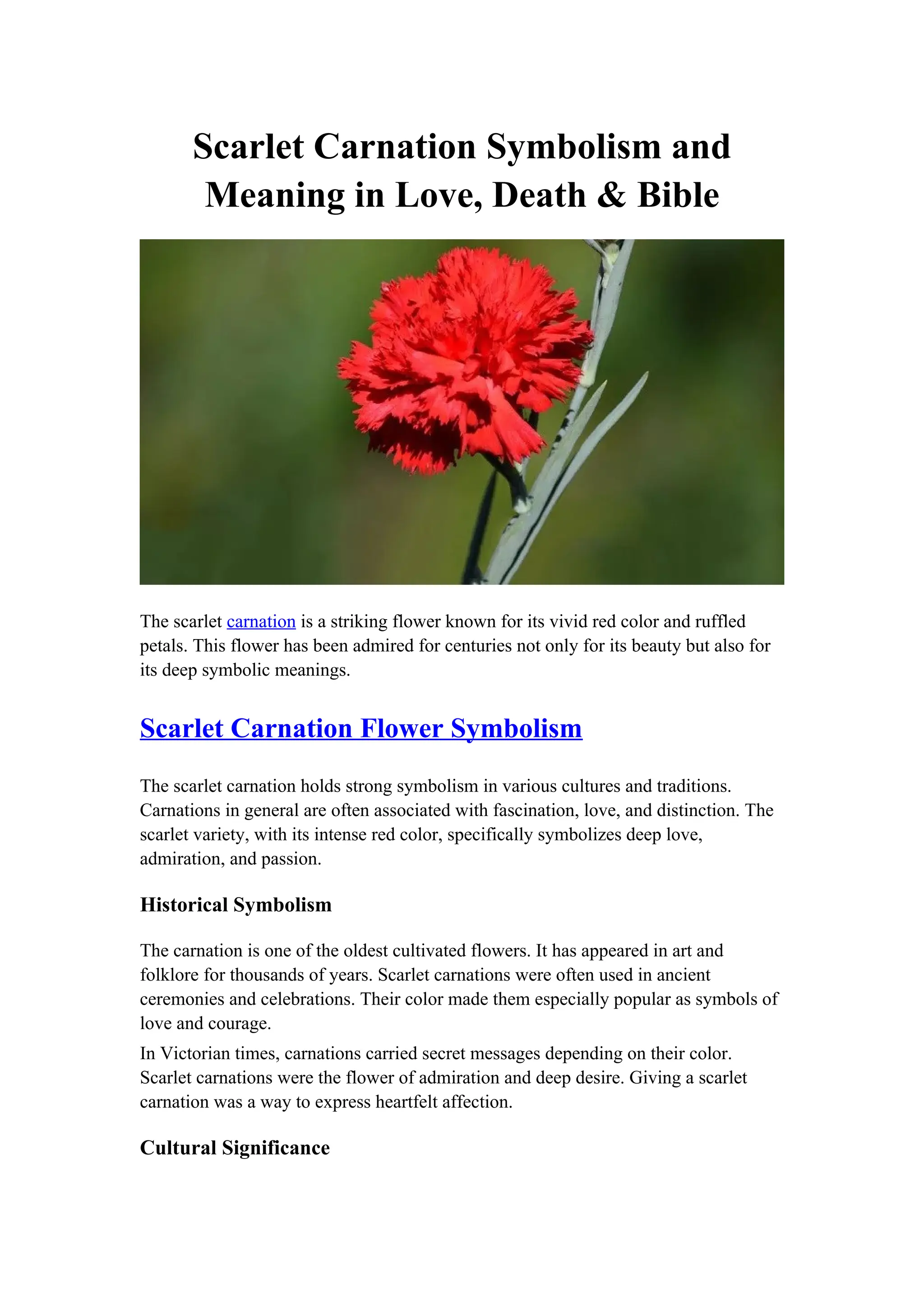 Scarlet Carnation Symbolism and Meaning in Love, Death & Bible.docx