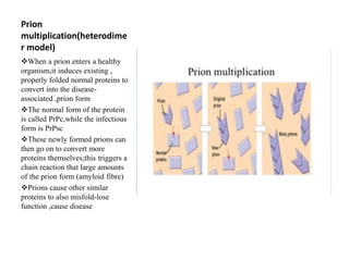 Prion disease | PPT